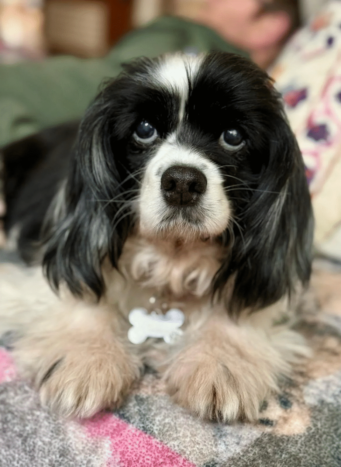 May 2024 - Camp Cocker Rescue